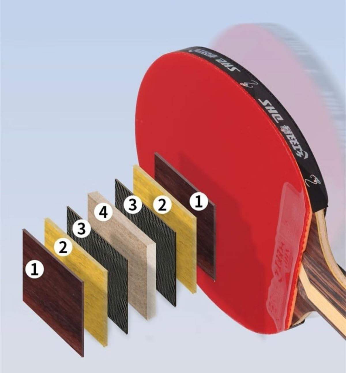 How to Choose the Best DHS Table Tennis Racket 9 Star: Ultimate Buying ...