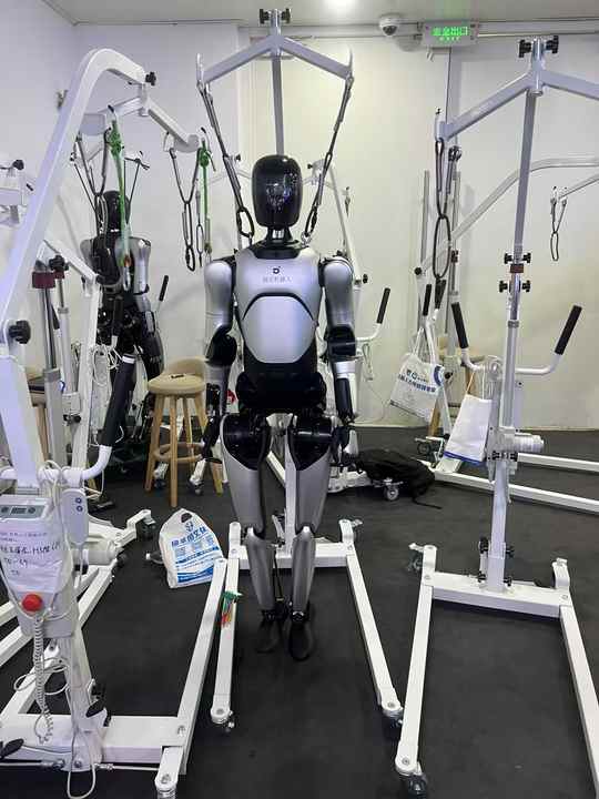 Intelligent Humanoid Robot Crane Debugging Assistance Balance Crane Humanoid Standing Anti Fall ...