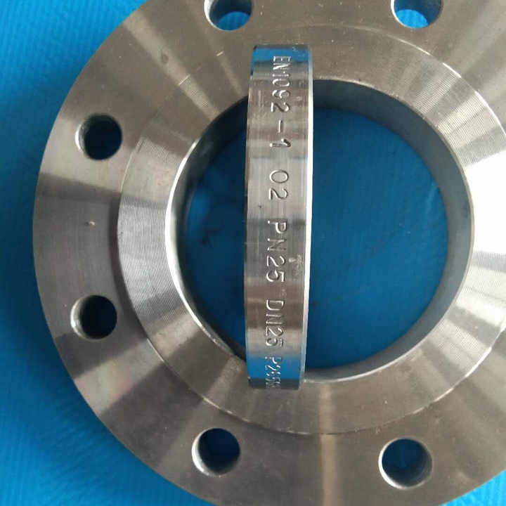 Plate Flange DN20 DN40 Pn40 Flange Din Standard - CZIT