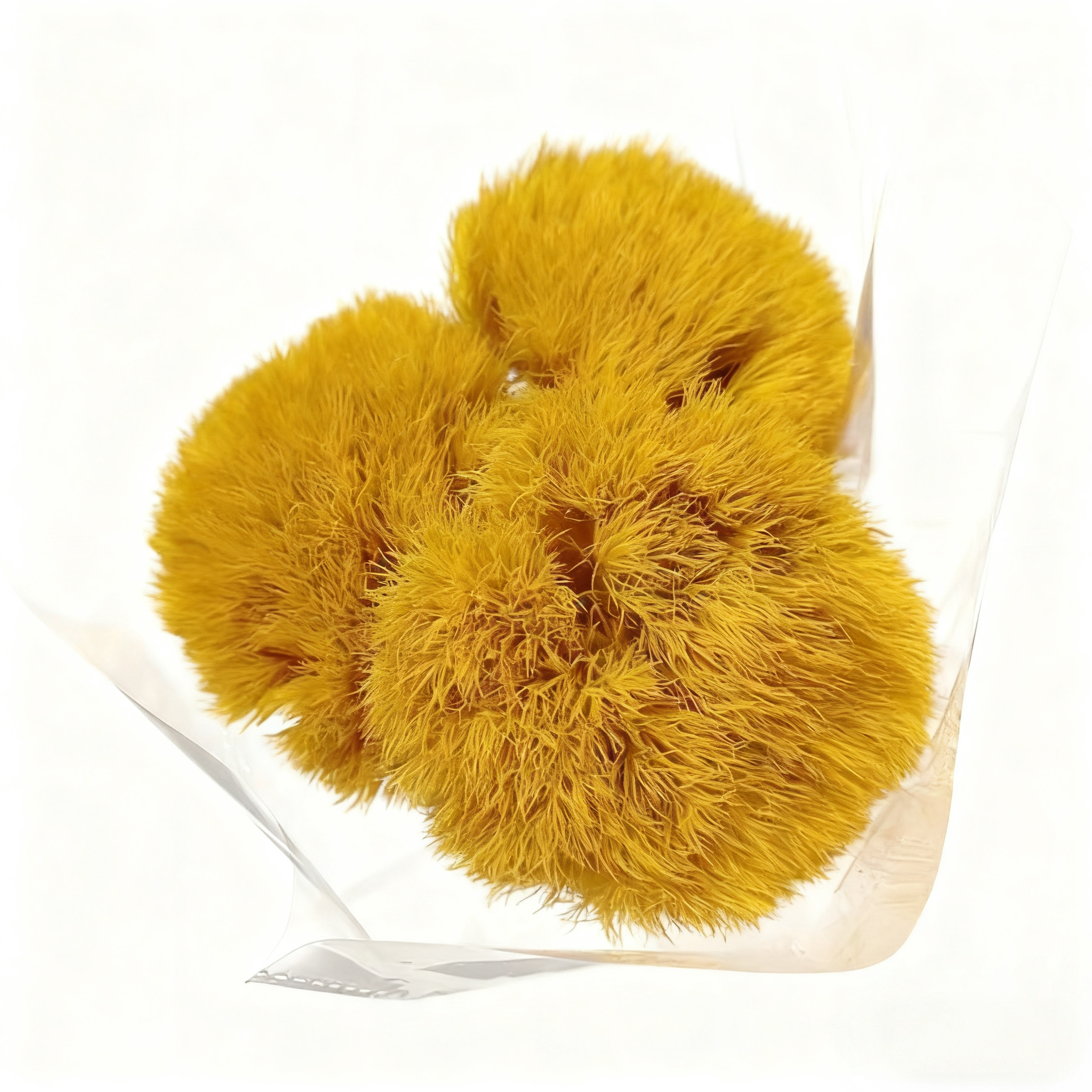 How to Choose the Best Green Form for Flowers: A Complete Buying Guide