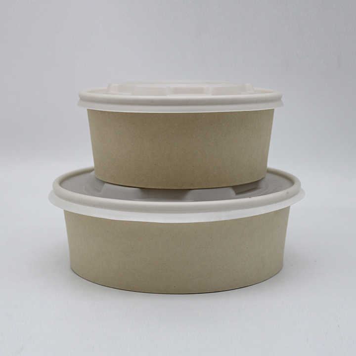 Paper Plates Bowls Kraft Brown Biodegradable Ramen Soup Rice Paper ...