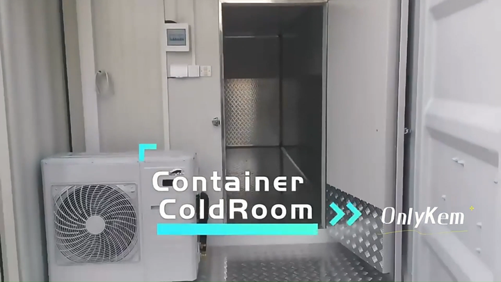 20FT 40HQ Walk in Freezer - Efficient Solar Powered Cold Room