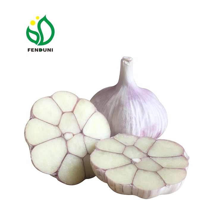 Fresh Organic Garlic 10kg Bag - Red/White Varieties from Jinxiang ...