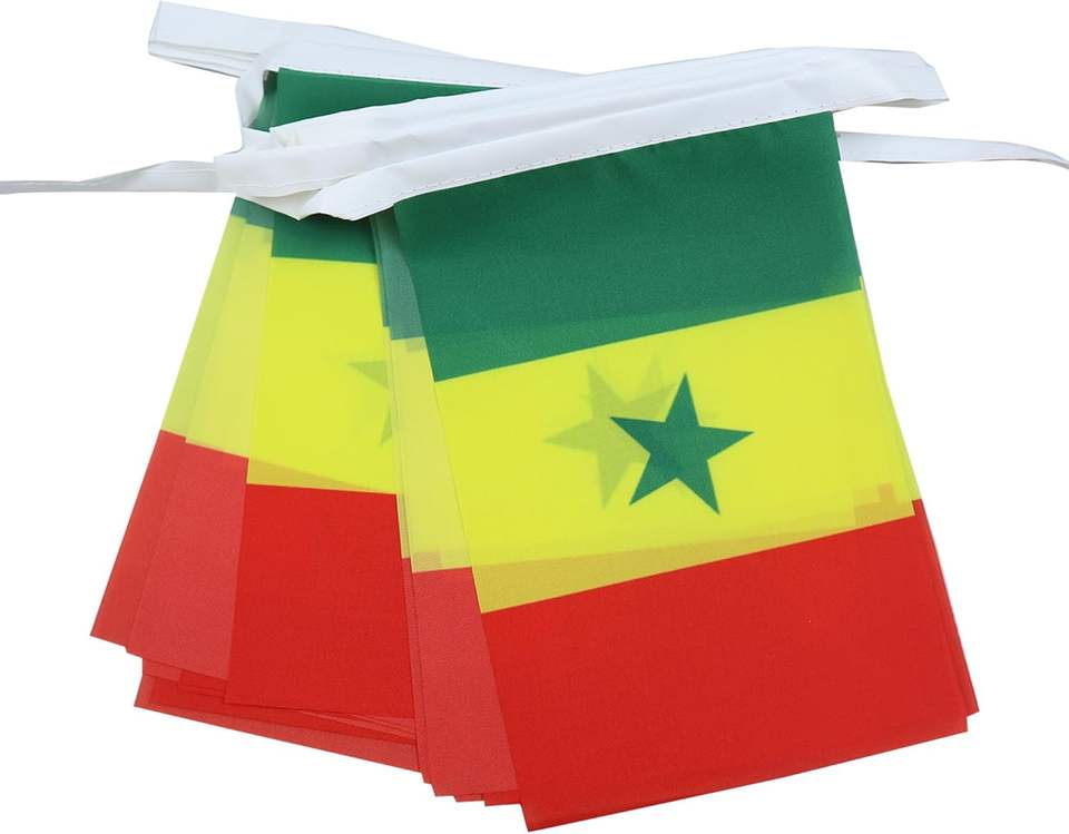 Newly Released Senegal Flag Combo Garden Flag Handheld Flags Car Flag ...