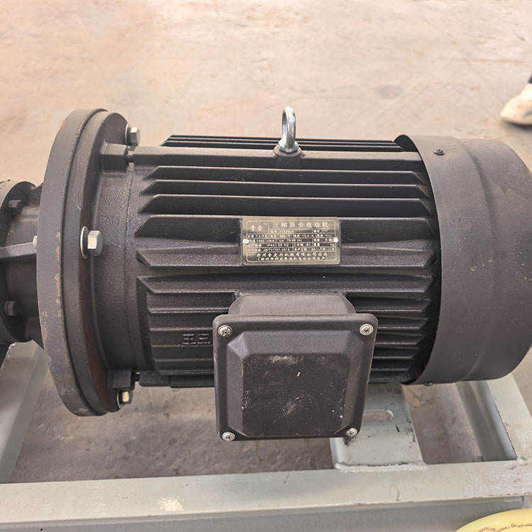 Industrial Standard Compact Layout Biomass Pellet Plant Pellet Machine ...