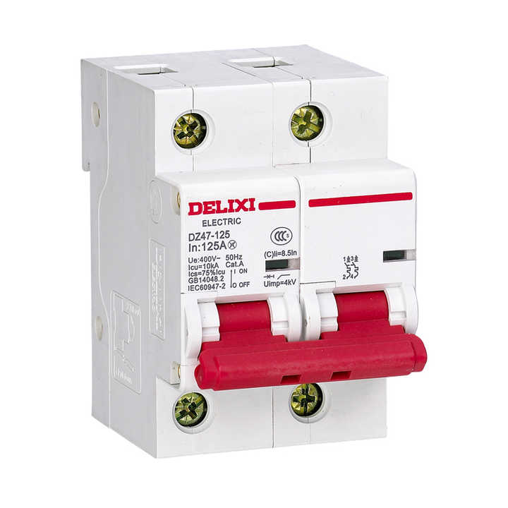 Delixi MCB DZ47-125 Circuit Breaker Electric 1P 63A 80A 100A 125A Plastic Recycling Machinery ...