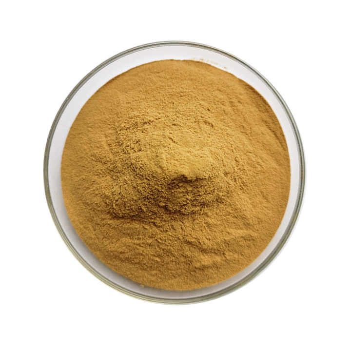 Natural Agnus Castus Chasteberry Extract Powder - Vitexin
