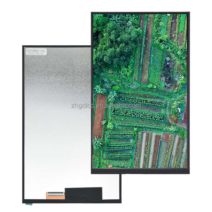 10.1 Inch MIPI DSI LCD Display - IPS, 800x1280, Custom Touch