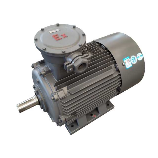 230V 25hp Electric Motorinas 50kw 220V High Voltage Motor