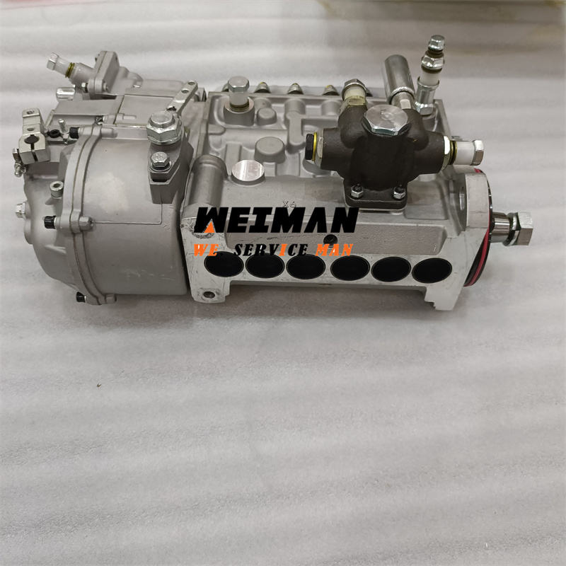 Weichai Engine Parts 612601080810 Injection Pump 4110002289061 for ...