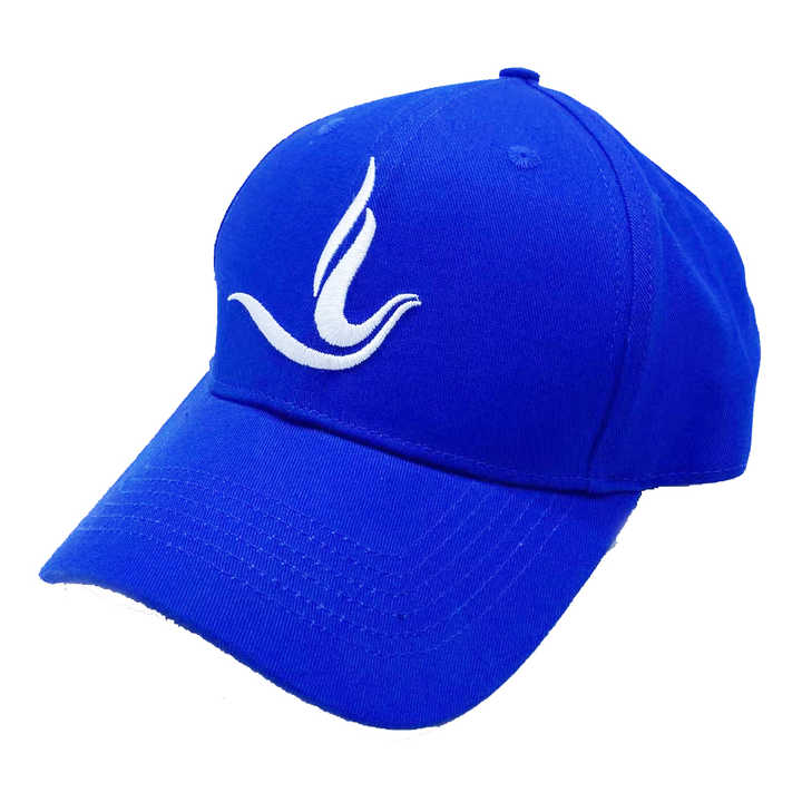 Shop Wholesale Blue Zeta Phi Beta Finer Bird Hat OEM Factory