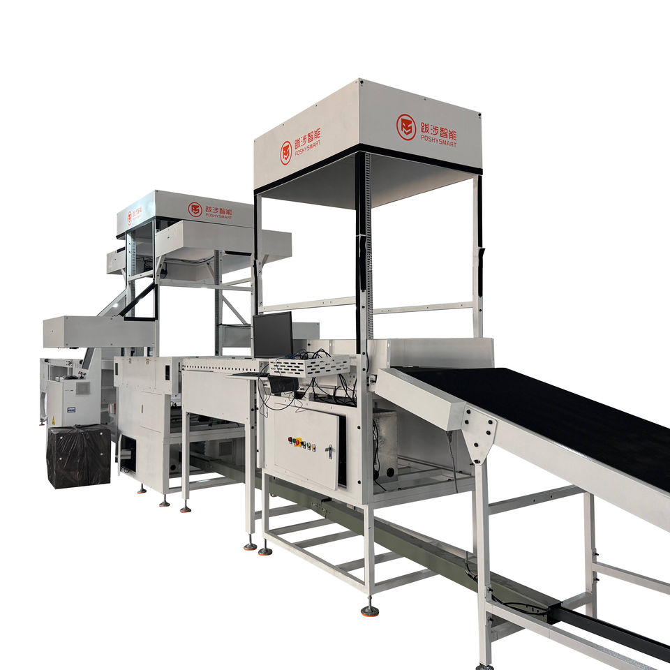 The Weighing and Scanning DWS System Food and Garment Factory Outbound ...