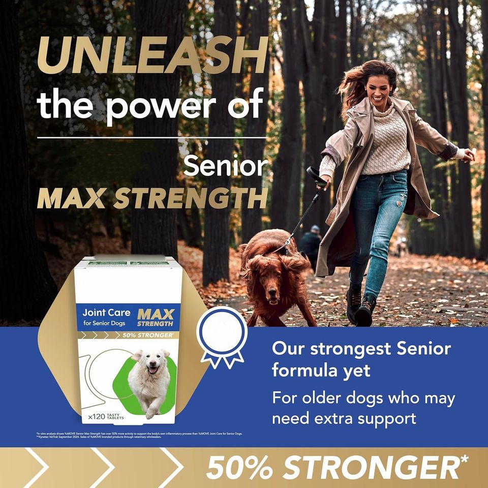 OEM ODM Senior Dogs Joint Care Tablets-120 Tasty Tablets Chewable ...