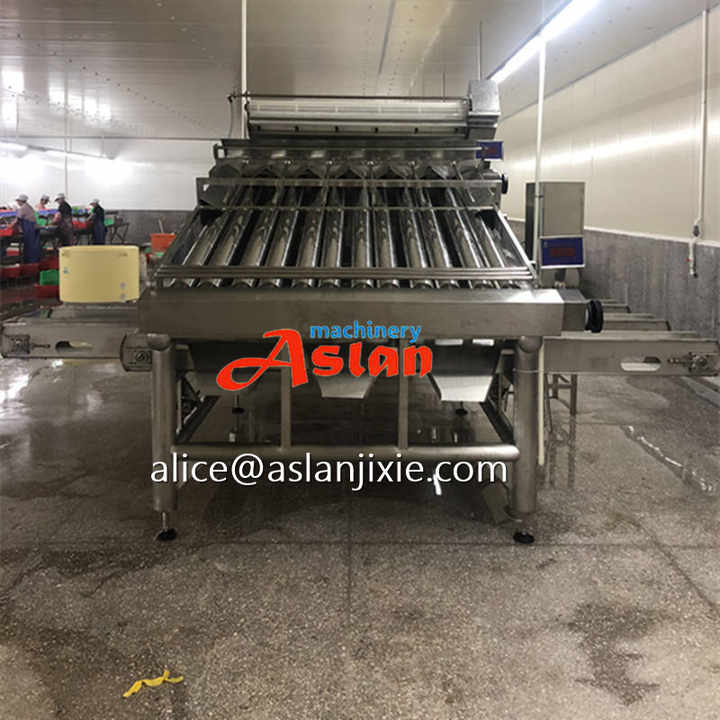 High Capacity Prawn Size Grading Machine/ 6 Roller Shrimps Stainless ...