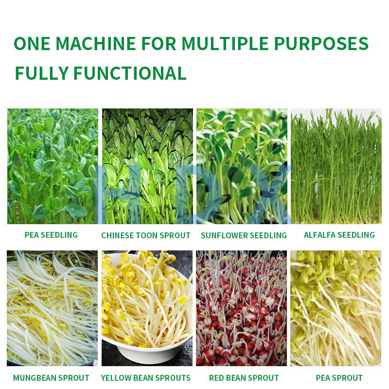 Fully automatic multifunctional seed germination machine Products from ...