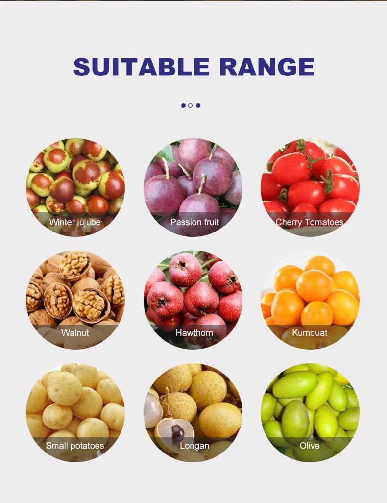 Hot Selling Customizable Grading Machine Automatic Apple Lemon Orange ...