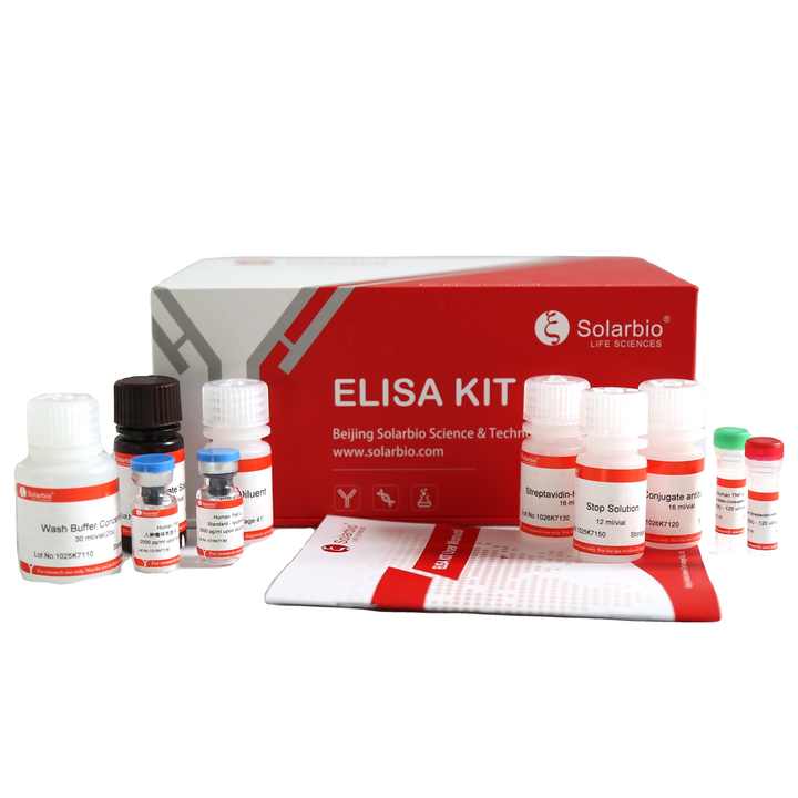 Bacterial Genomic DNA Extraction Kit - Efficient & Reliable