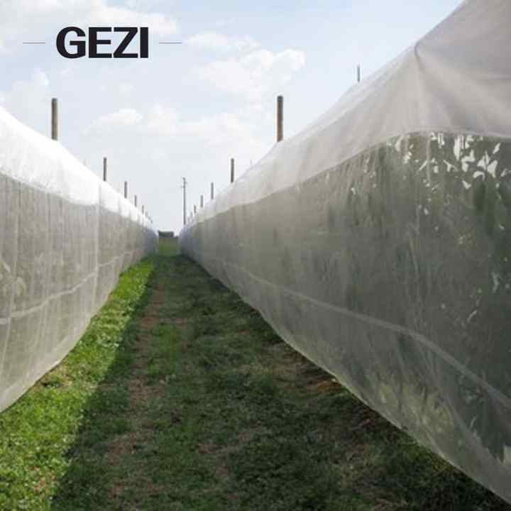 Windproof Anti Thrip Hail Insect Proof Barrier protection Control ...