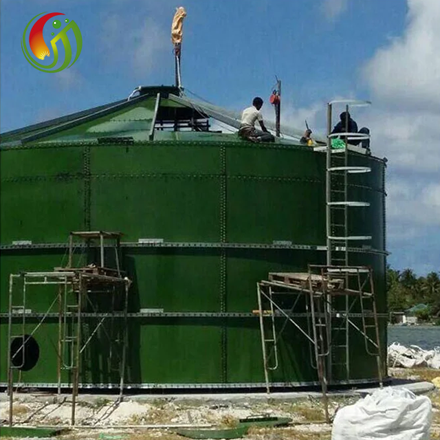 1-Year Biogas Digester Plant Water Treatment Machinery Cow Dung Manure ...