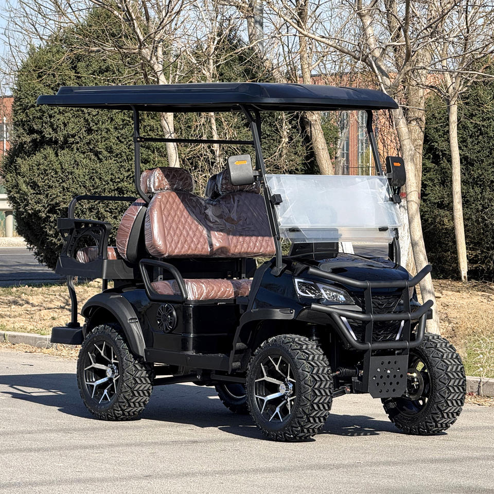 Mini Golf Car 2025 New Design Black Electric Golf Carts Electric ...