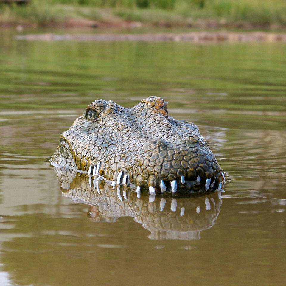 Customer Favorite 2.4G RC Crocodile Boat Lifelike Look Water Resistant ...