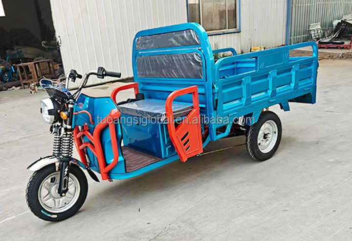 New Type Open 1200W Adult Electric 3 Wheels Cargo Tricycle Goods China ...