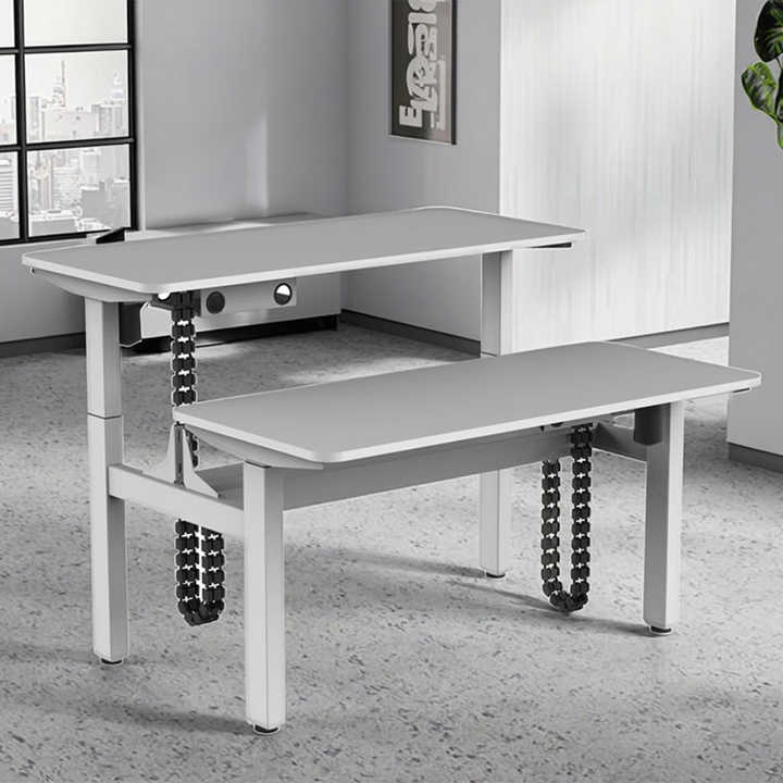 ZGO Ergonomic Dual Motor Sit Stand Adjustable Standing Desk Electric ...