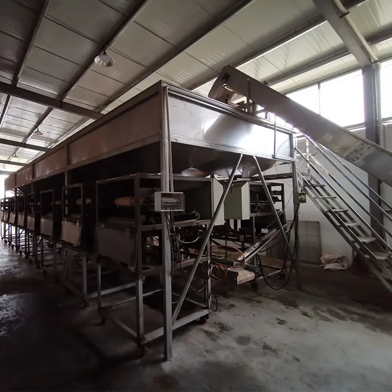 High Efficiency Pecan Processing Line Complete Sheller Peeler Grading ...