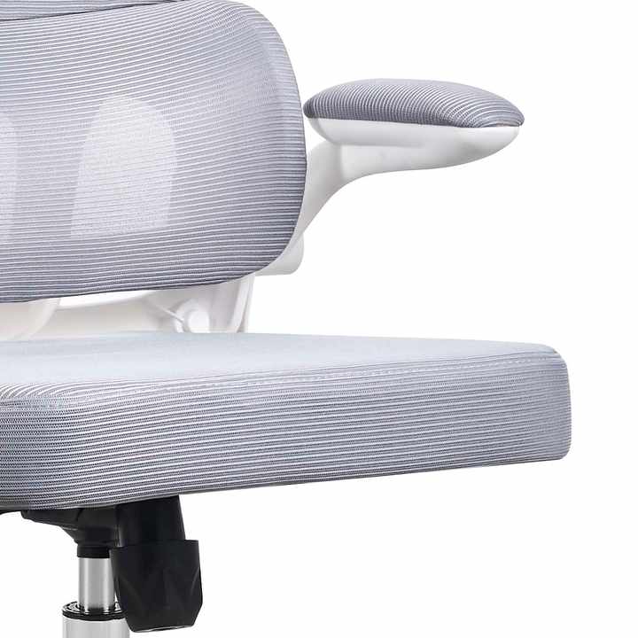 LiteStride Modern Design Mesh-Back Office Chair with 3D Lumbar Support ...