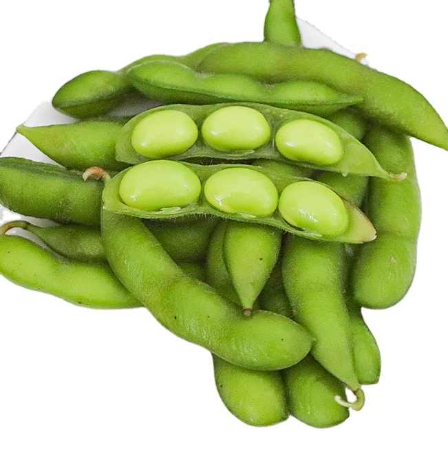 High Quality Organic IQF Fresh Edamame Bean Pods Dried Peas Soya ...