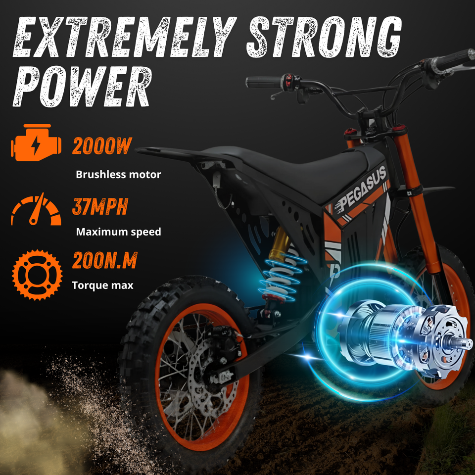 PEGASUS 55mph Brushless Motor Performance 48V Electric Dirt Bike