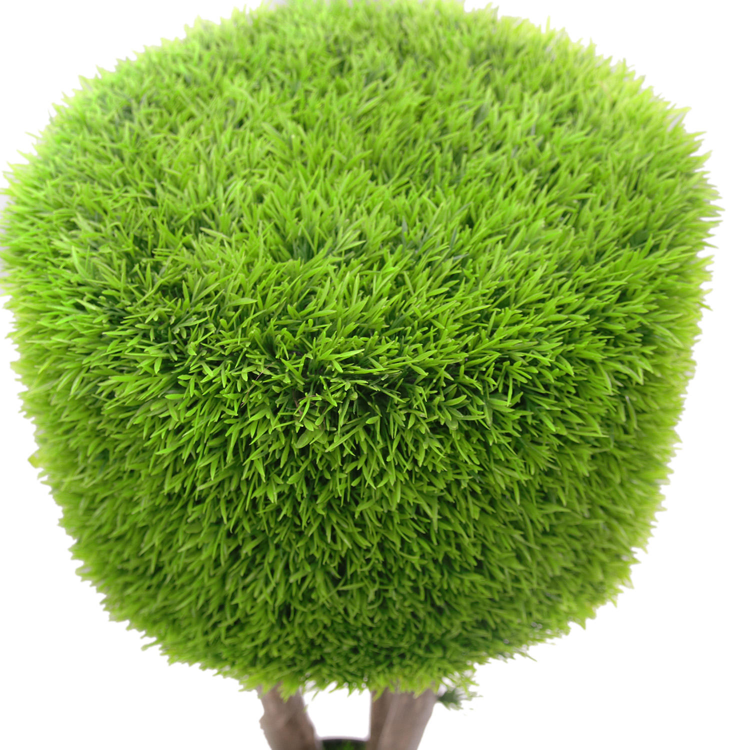 How to Choose the Best Decorative Tree Minimalist for Your Space