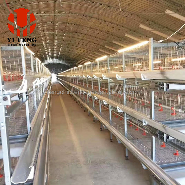 H Type Chicken Brooder Cage - Efficient Poultry Cages