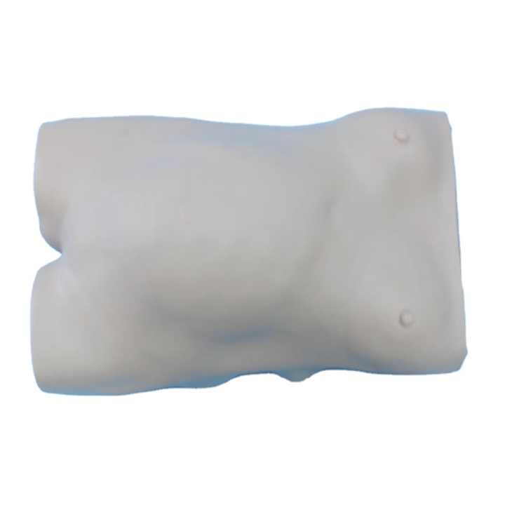 Advanced Electronic Maternity Model for Pregnancy Exams