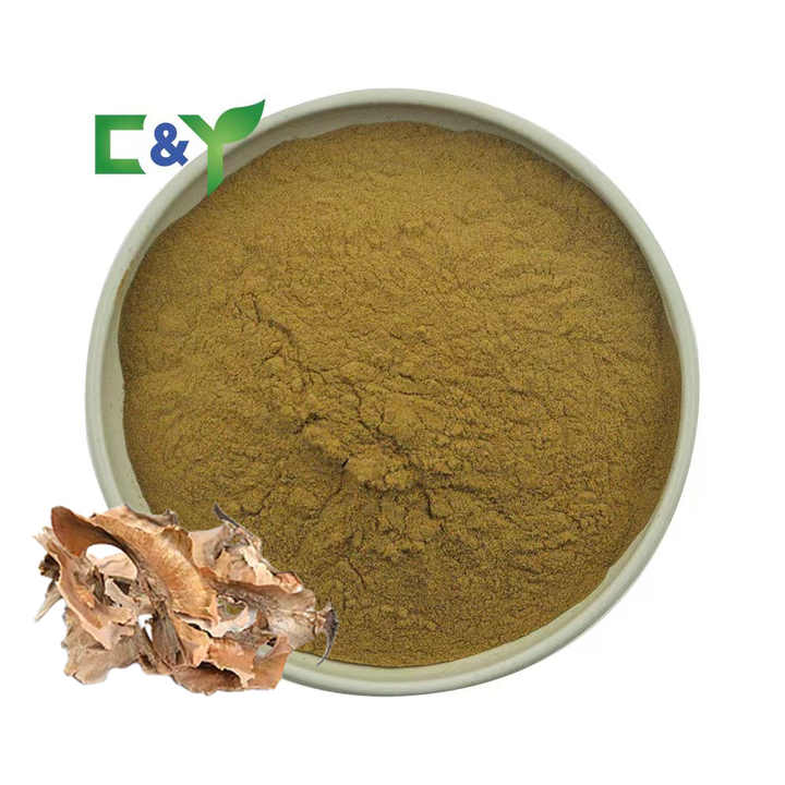 Best Quality Walnut Septum Powder - Dry Walnut Extract