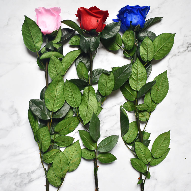 How to Choose the Best Single Roses Box: A Complete Buying Guide