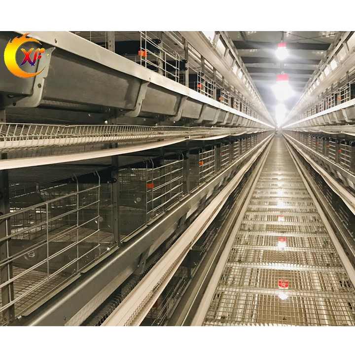 Full Automatic Poultry Farming Chicken Feeder Line H Type 3 - 8 Tier ...