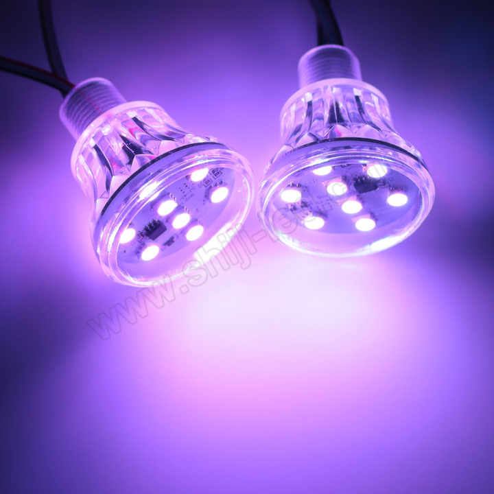 45mm 12 Pixel Programmable PVC LED Light for Carnival Funfair ...