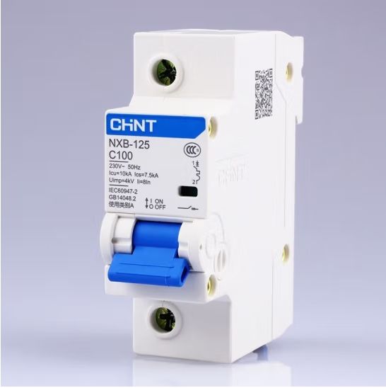 Chint NXB-125 Mini Circuit Breaker - 10ka Breaking Capacity
