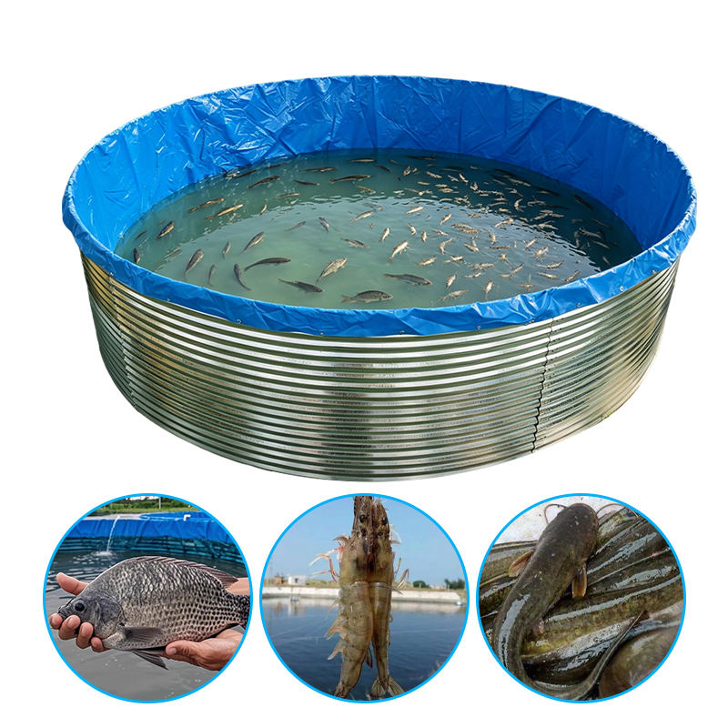 Heavy Duty Metal Frame Breeding Tank for High-Density Shrimp Farming ...