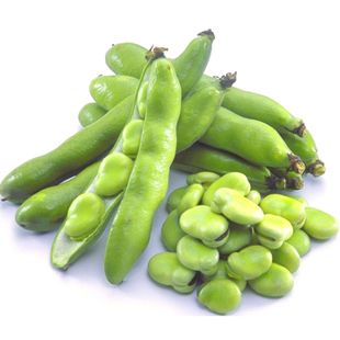 How to Choose the Best Fava Bean for Cooking and Nutrition