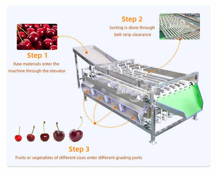 XINLONGJIA Cherry Saint Fruit Sorting Machine Strawberry / Mandarin Orange Sorting Machine ...