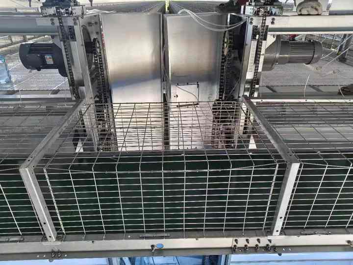 全自动肉鸡自动出鸡设备家禽养殖鸡笼| Alibaba.com