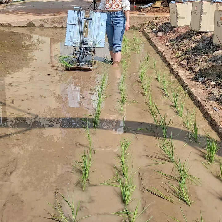 Hand Operated Paddy Rice Planting Machine Rice Seeder Transplanter for ...