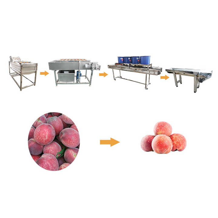 Industrial Lemon Peach Processing Line/ apple Fruit Sorting Washing ...