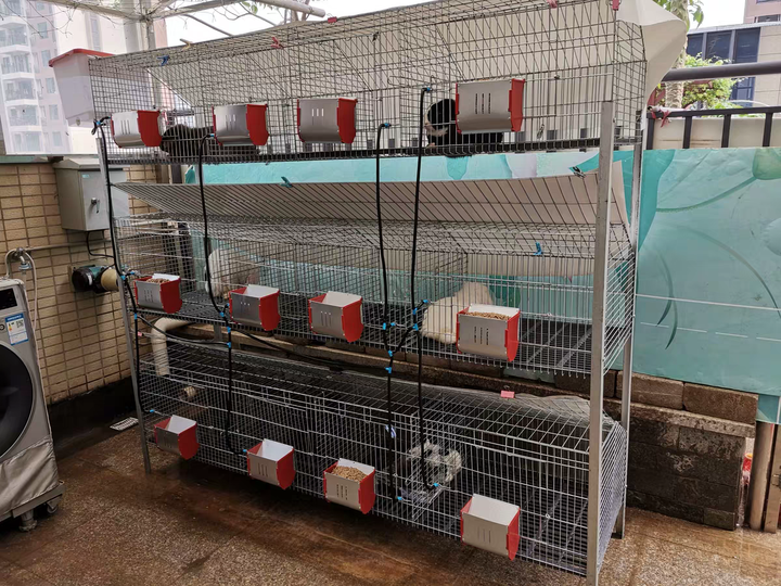 YIZE Rabbit Cages - Durable and Efficient Commercial Systems