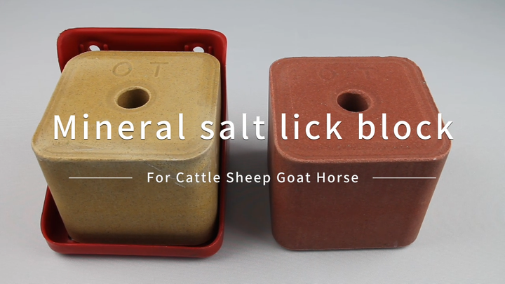 GREAT FARM Pure Natural Cattle Salt Licks - Balancing Nutrition
