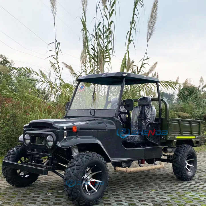 250cc Mini Jeep Utility Vehicle - All Terrain Fun & Transport