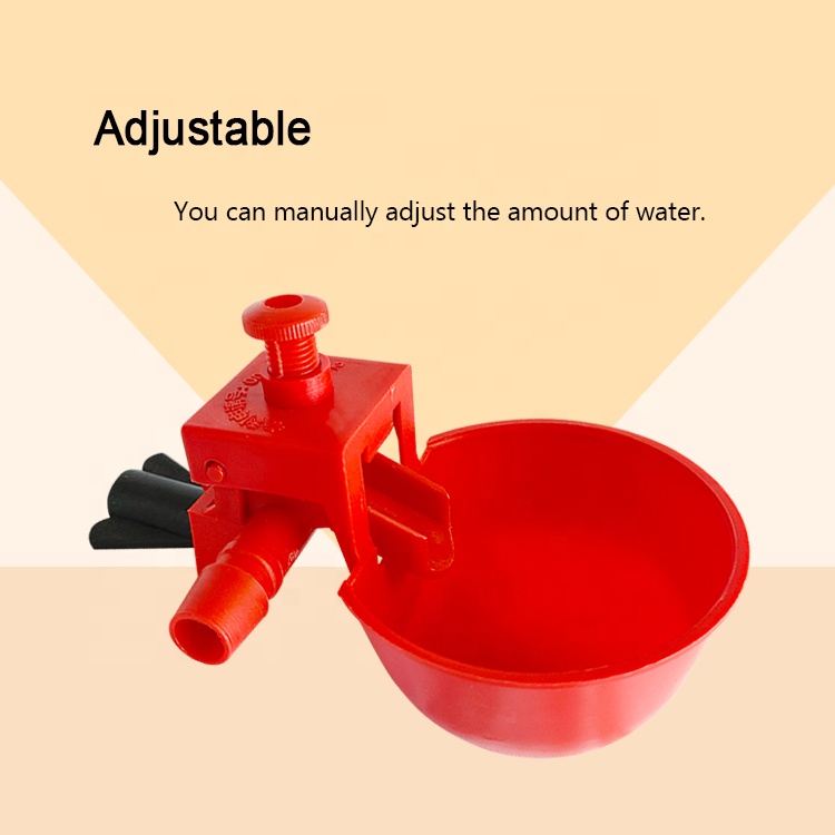High Quality Pigeon Drinkers - Durable & Efficient Solutions