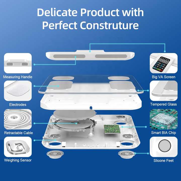 Welland Smart App Fitdays Muscle Body Part Percentage Fat Scale